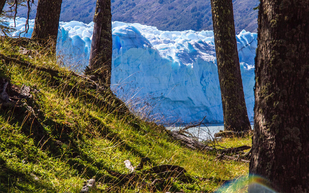 Perito Moreno Glacier | Regular Excursion | Experience ChileExperience ...