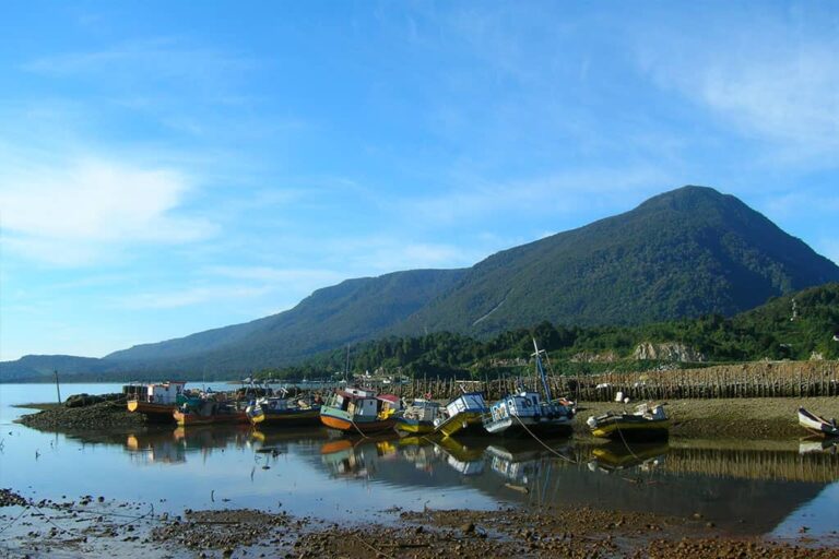 Carretera Austral | Self-Drive Puyuhuapi to Caleta GonzaloExperience Chile