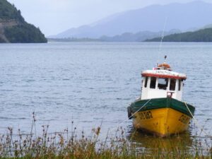 Carretera Austral | Self Drive Caleta Gonzalo to PuyuhuapiExperience Chile