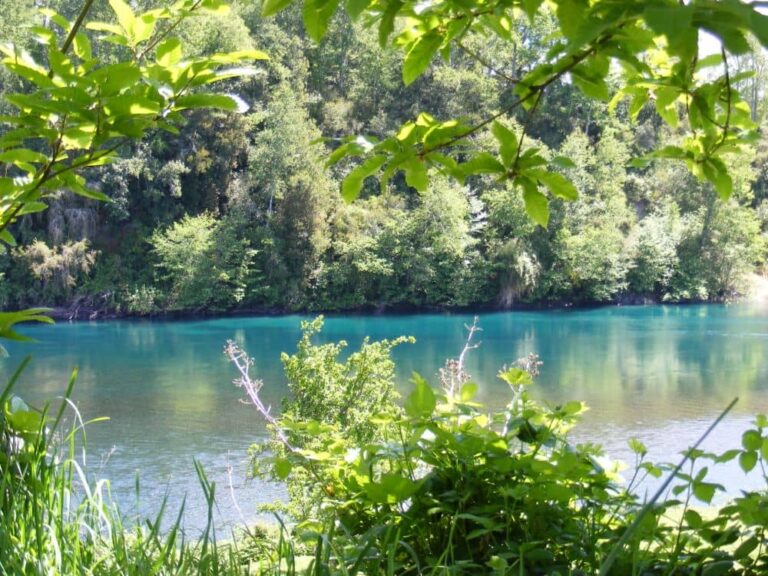 Chile | Lake Region | Experience ChileExperience Chile