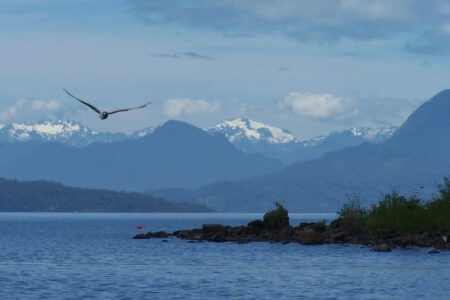 Chile | Lake Region | Experience ChileExperience Chile