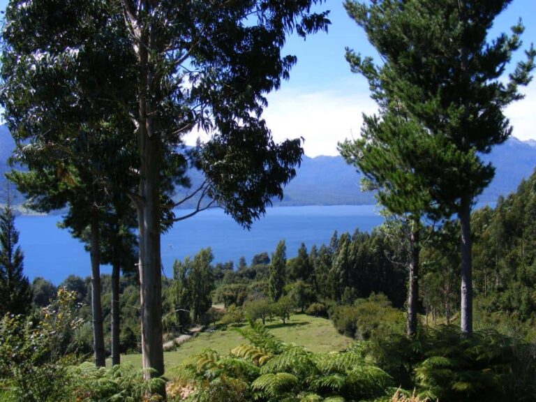 Chile | Lake Region | Experience ChileExperience Chile