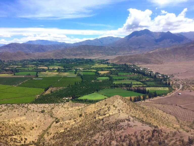 Chile Wine Tours and Accommodation