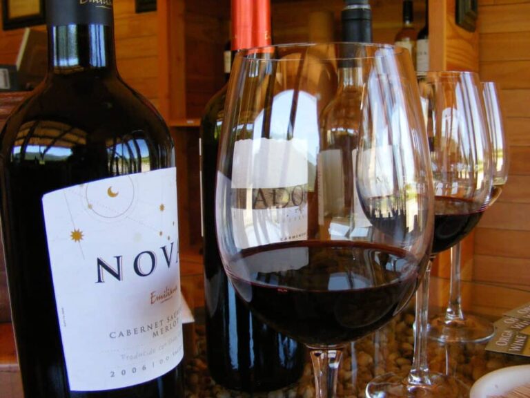 Chile | Wine Valleys | Experience Chile