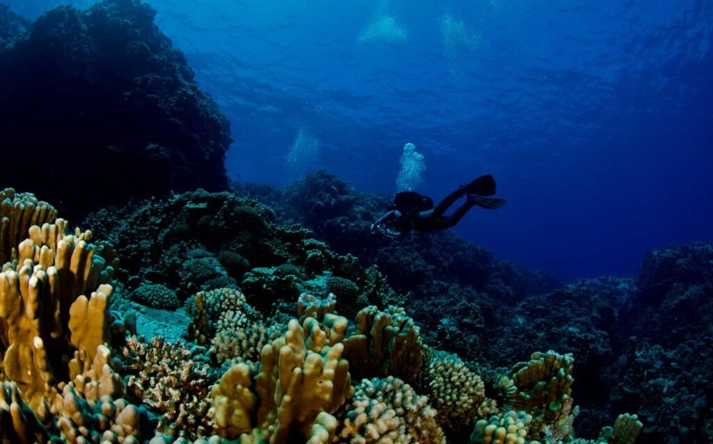 Easter Island | Activities | Experience ChileExperience Chile