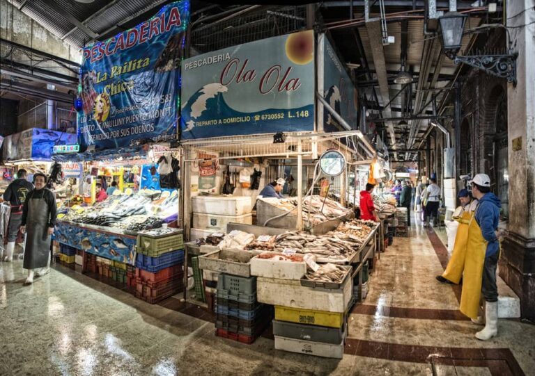 Santiago de Chile | Downtown | Experience ChileExperience Chile