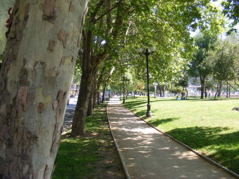 Santiago | Providencia District | Experience Chile